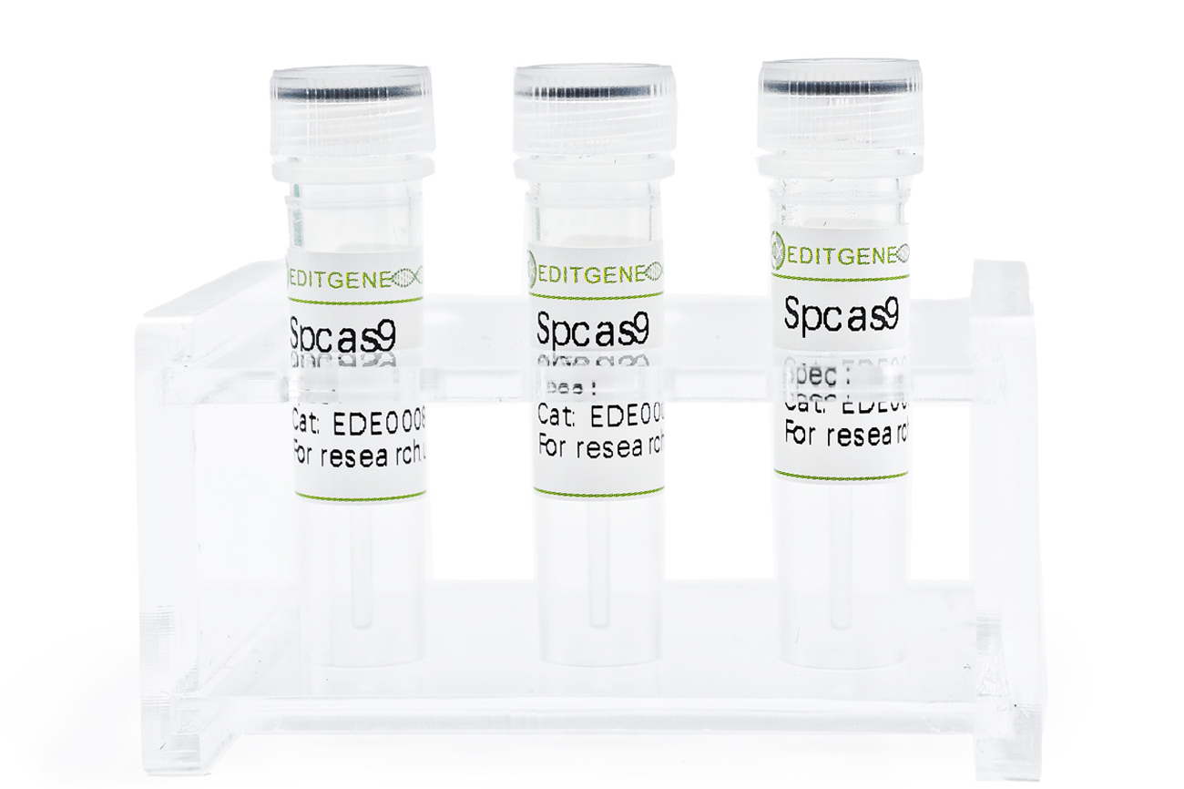 SpCas9高纯度核酸酶 | CRISPR/Cas9检测酶价格 – 艾迪基因