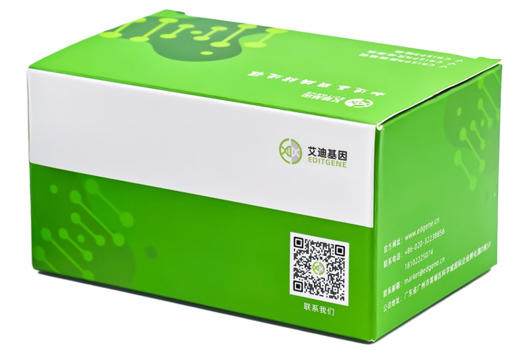 Cas12 |13专用核酸检测试纸条 – 艾迪基因
